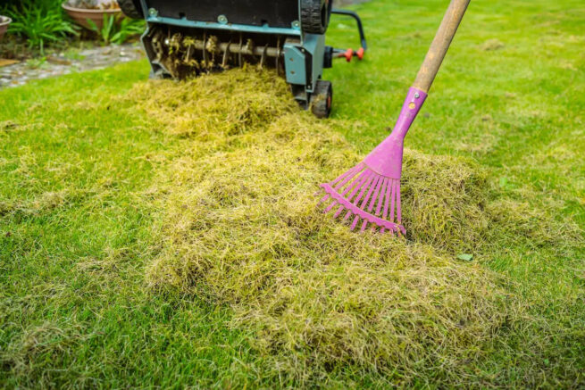 Thatch Rakes: What Is a Thatch Rake, How to Use It, and What It Does ...